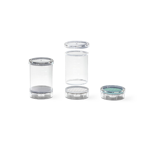 Life Sciences - Aryan Beris